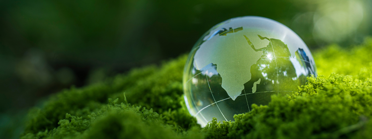 How Reconditioned Medical Equipment Supports Sustainable Healthcare – Seal Medical